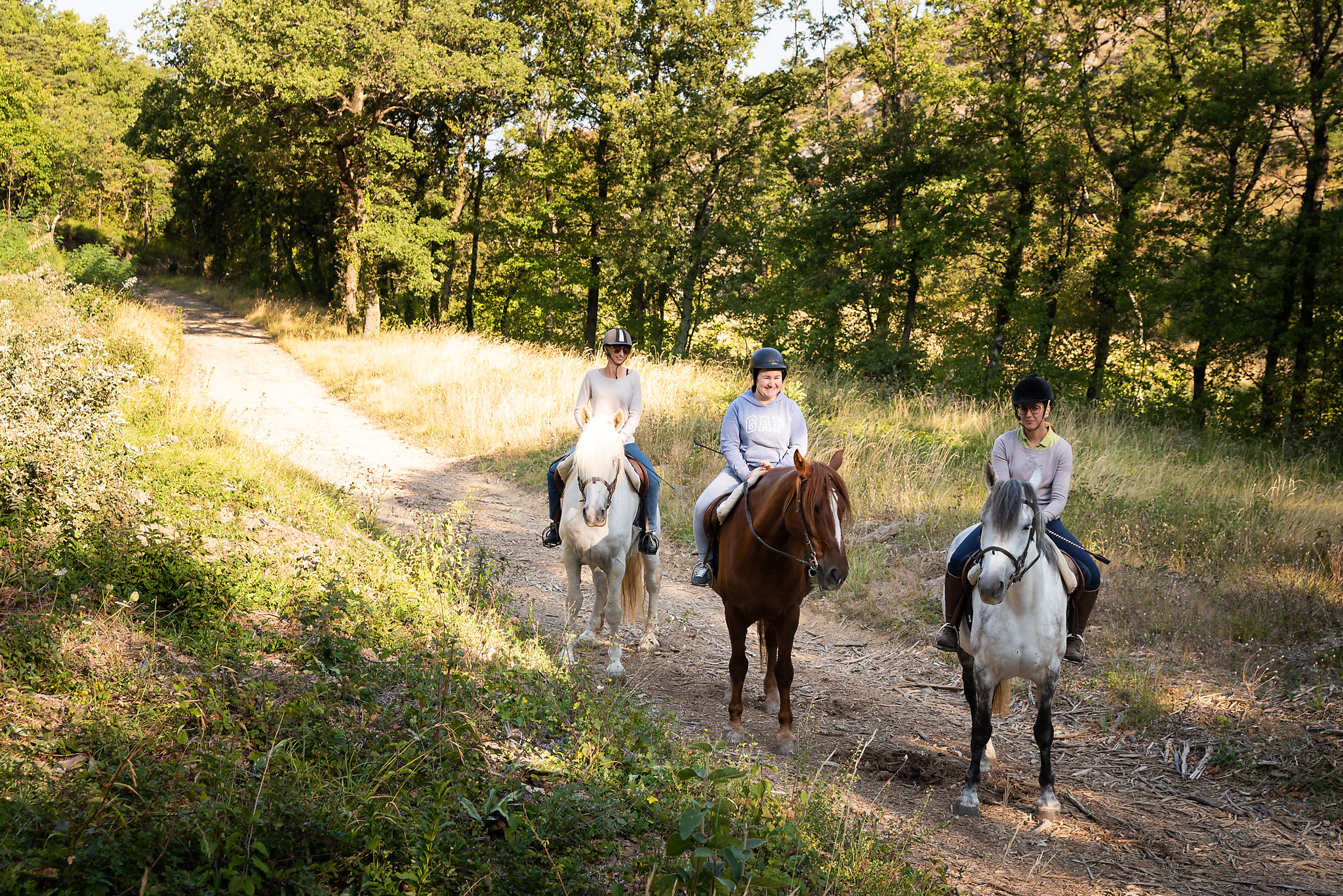 Les Pialoux riding school - La Drôme Tourisme